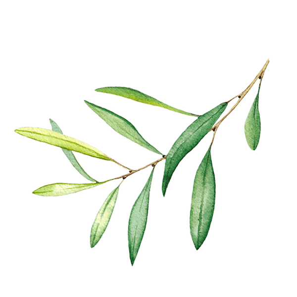 Bake Bake Doncaster - Bake Bake Doncaster