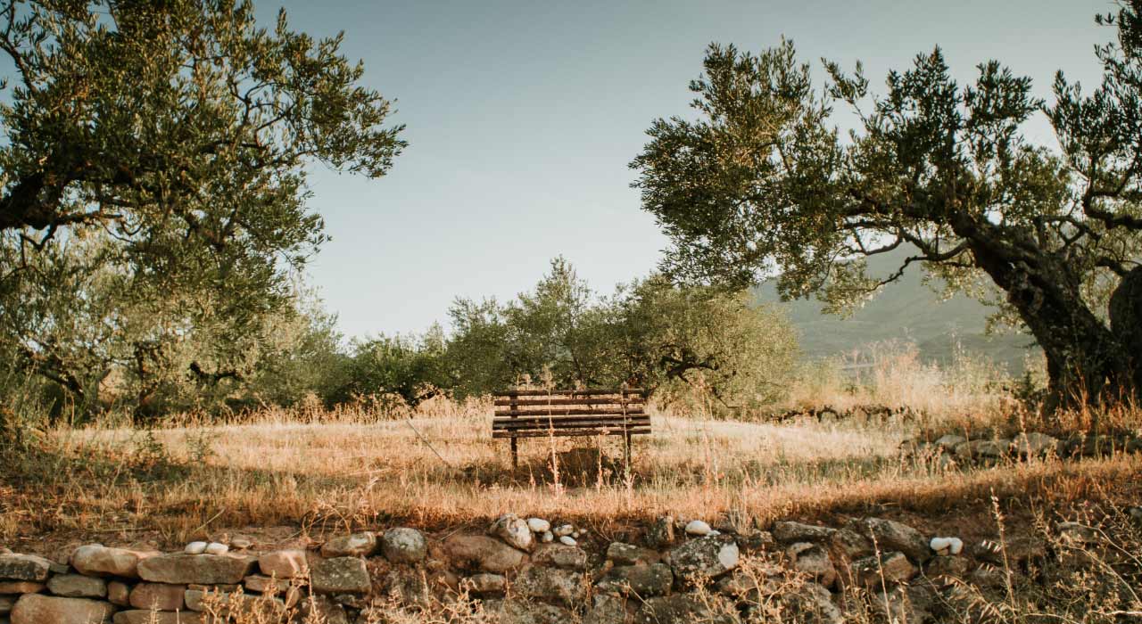 Our Story – Bake Bake Doncaster